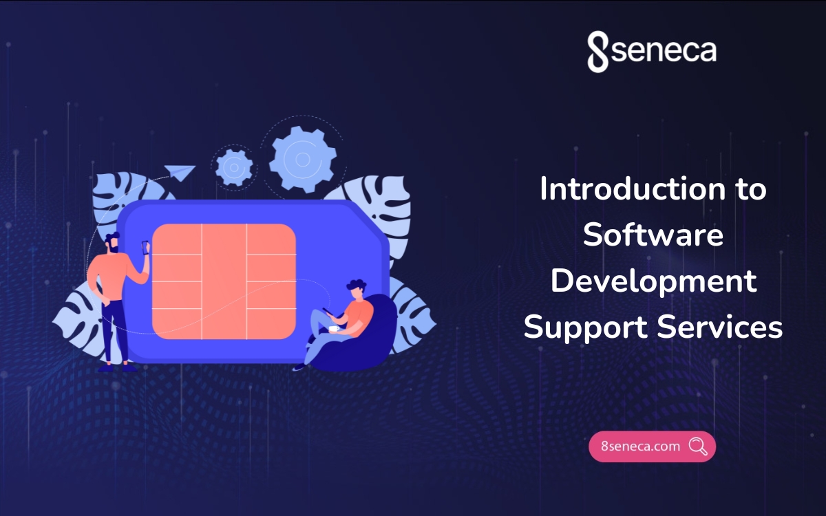 Introduction to Software Development Support Services